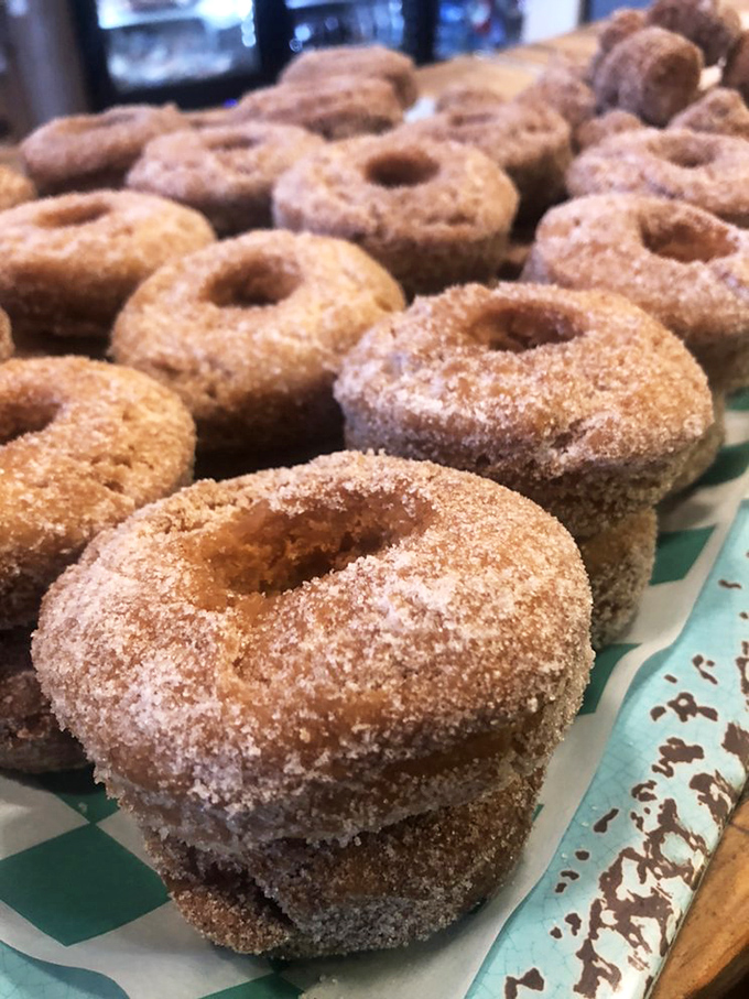 Cinnamon-sugar donuts that would make Homer Simpson weep with joy. Simple pleasures that remind you why having a sweet tooth is evolutionary brilliance.