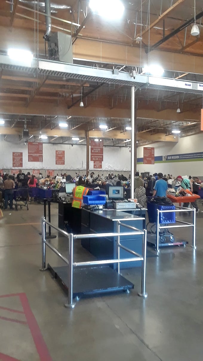 The checkout zone: where victorious hunters bring their quarry, calculating price-by-pound while mentally redecorating their homes.