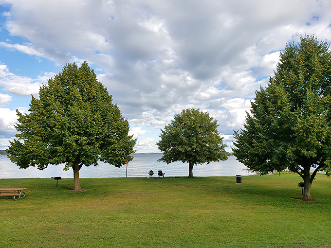 Three trees standing guard over Lake Charlevoix, offering shade and serenity for those wise enough to bring a good book.