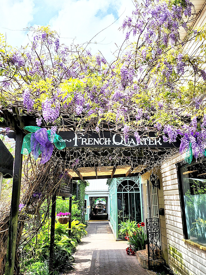 The French Quarter's wisteria-draped entrance is like stepping through a portal to New Orleans, only with far fewer tourists and better parking.
