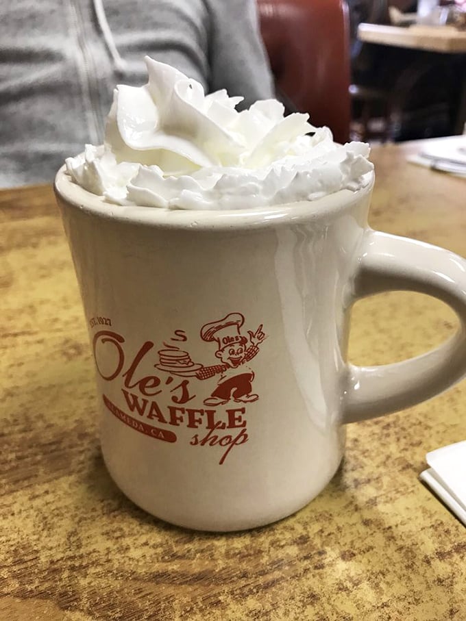 Hot chocolate topped with whipped cream so perfect it deserves its own zip code. The mug says it all&mdash;Ole's knows comfort.