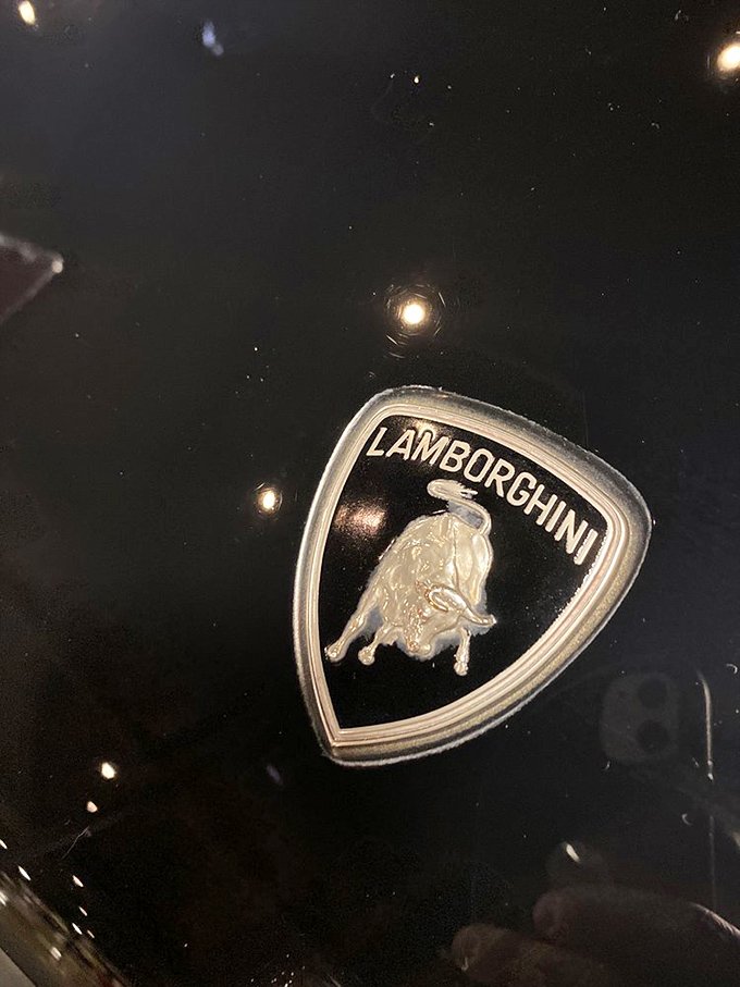The Lamborghini emblem &ndash; a charging bull that perfectly symbolizes what happens to your heart rate when one of these Italian beasts roars past you.