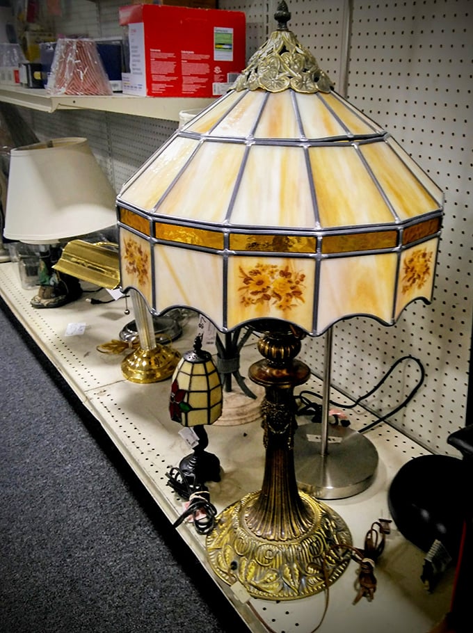 Vintage lamps that have seen decades of late-night reading sessions now await their next chapter in someone else's story.