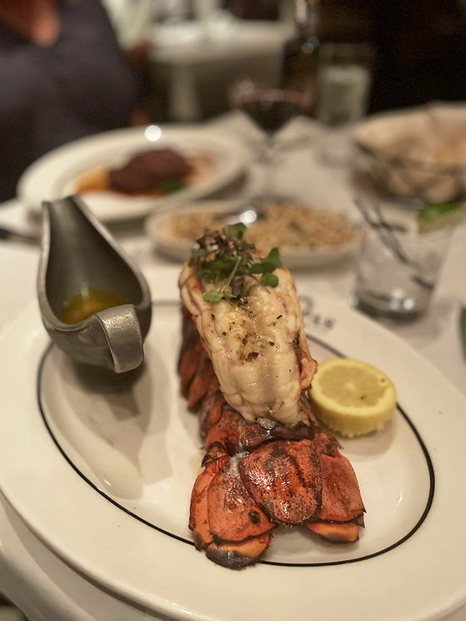 Lobster tail presented with such reverence it makes you wonder if it's being knighted rather than served.