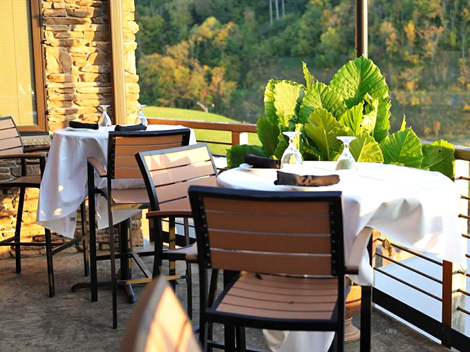 Dining al fresco with mountain views? This patio proves that sometimes the best seasoning is fresh West Virginia air and natural scenery.