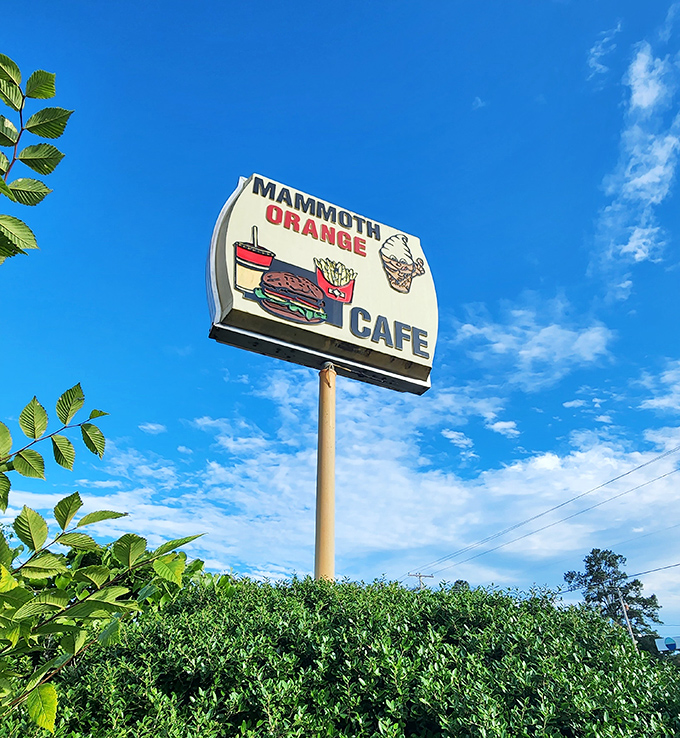 The roadside sign promises simple pleasures done right. It's not shouting for attention—it's confidently waiting for those who appreciate the classics.