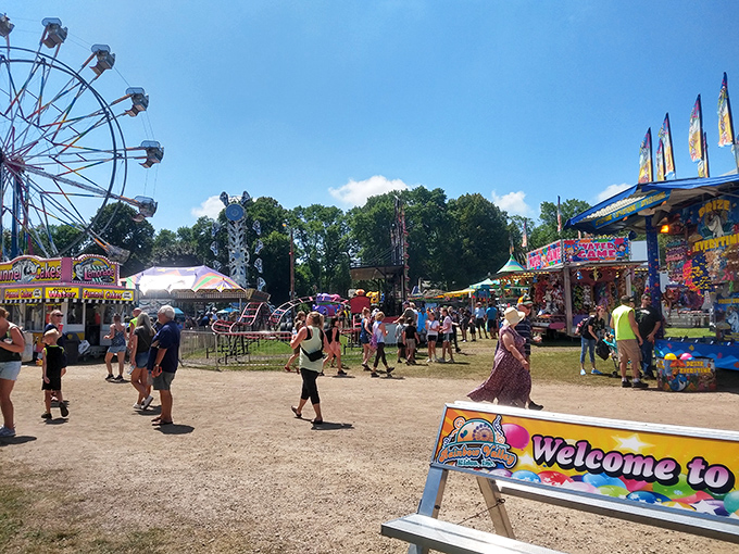 Washington Avenue's tree-lined charm isn't just for show—it's the living, leafy heart of a downtown that refuses to surrender to strip mall sameness.