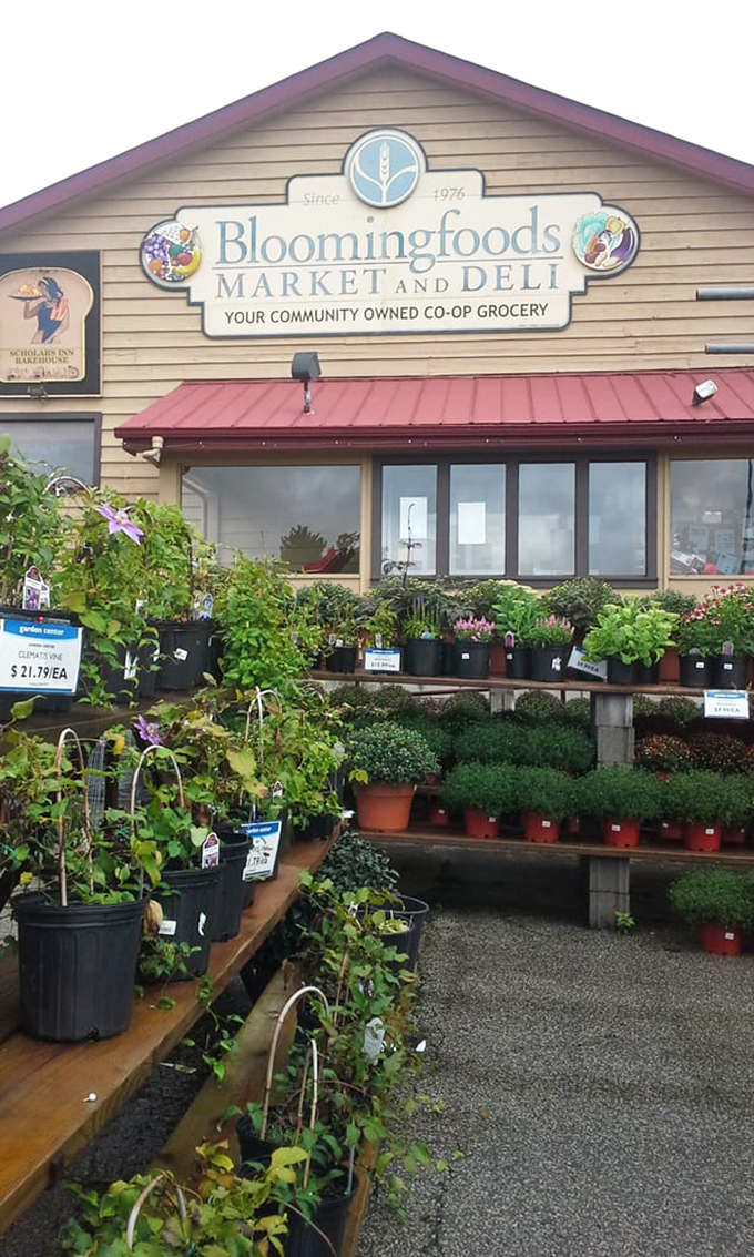 The garden section: where good intentions about starting an herb garden go to become reality&mdash;at least until next week.