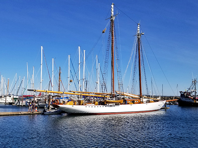 Chetzemoka Park's manicured gardens offer a serene counterpoint to the wild beaches nearby&mdash;civilization and wilderness in perfect balance. 