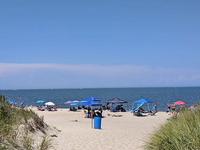 Beach umbrellas dot the sandy shoreline like a painter's palette against the endless blue horizon, where shore birds patrol the tide line.