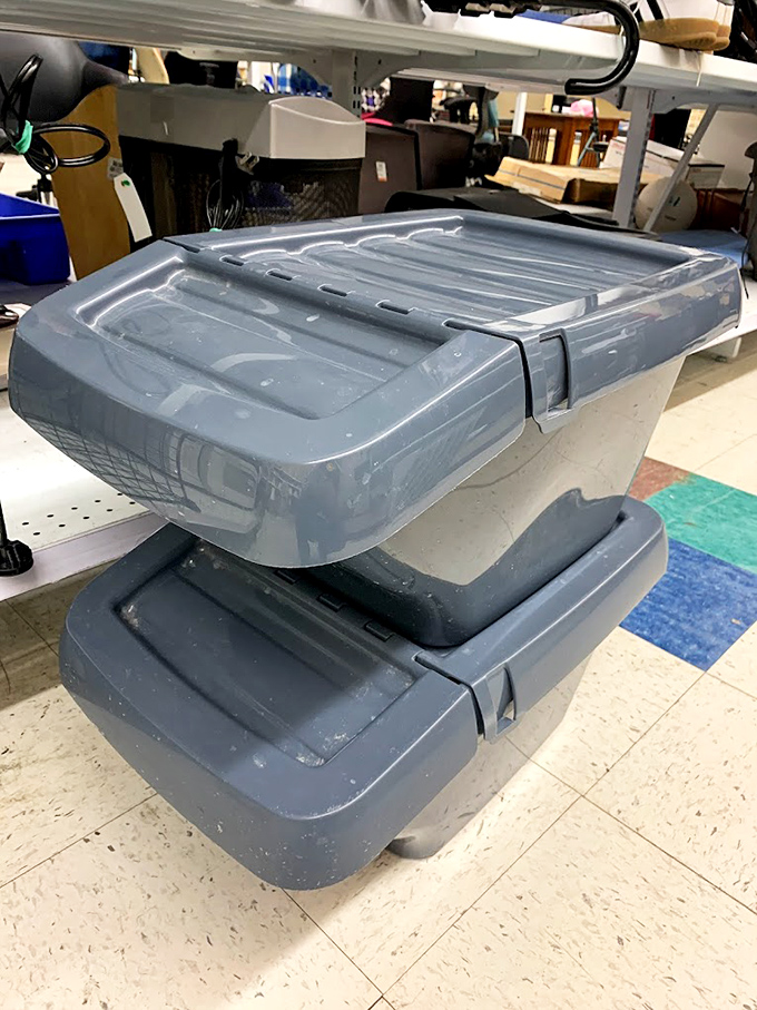 Storage bins: the unsung heroes of organization that whisper sweet promises of a clutter-free existence that we all aspire to. 