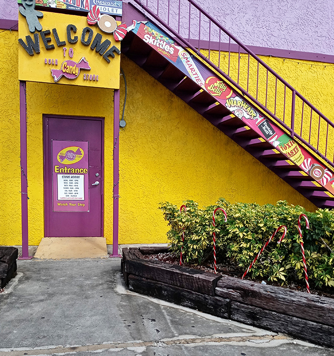 This entrance, with its candy cane garden, isn't just a doorway&mdash;it's a portal to your most colorful childhood memories.