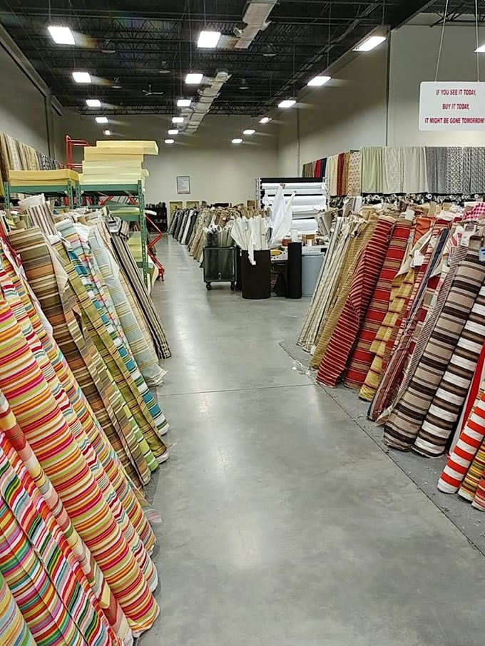 Stripes as far as the eye can see &ndash; from classic nautical to whimsical candy colors. Your grandmother's porch swing never looked so good.