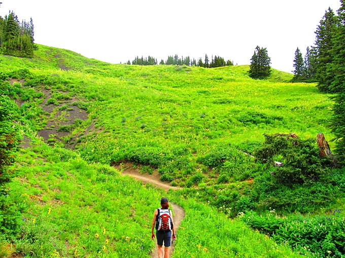 Hiking through wildflower meadows feels like walking through an impressionist painting. Every step reveals new colors to marvel at.
