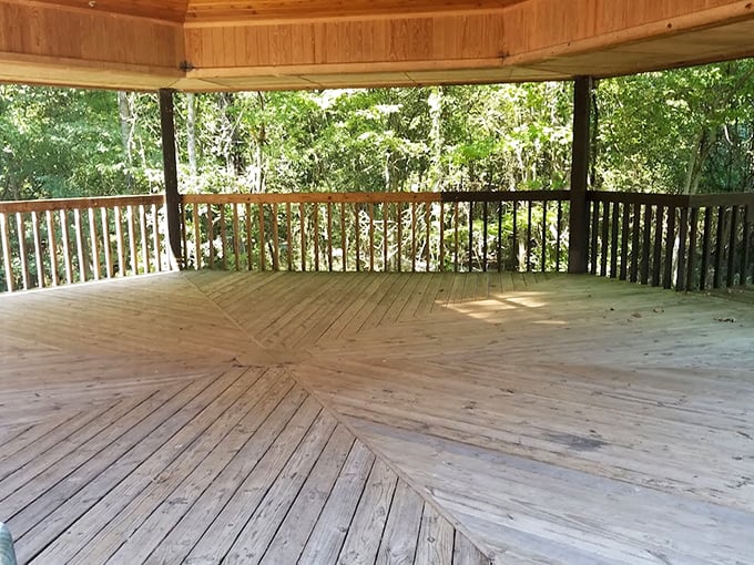 This observation deck offers panoramic forest views without the vertigo&mdash;nature's theater in the round where the performance never stops.