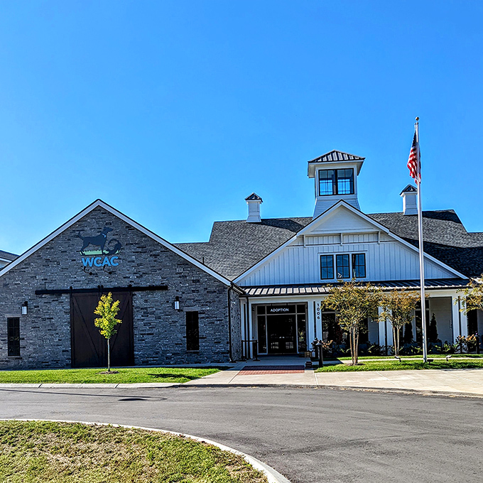 The Williamson County Animal Center combines rustic charm with modern purpose &ndash; where even the architecture says "all creatures welcome here."