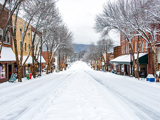 Winter transforms Brevard's Main Street into a Currier and Ives print, where twinkling lights and snow create small-town magic.