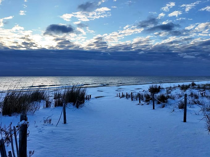 Winter transforms Fenwick's beaches into a serene blue dreamscape where the only footprints might be your own.