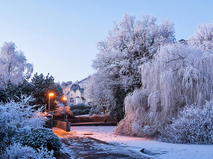 Winter transforms Malvern into a frost-kissed wonderland where even the weeping willows seem to be wearing elegant crystal gowns for a seasonal soir&eacute;e.