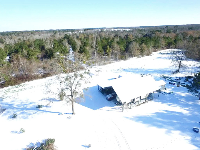 Snow in Florida? This rare winter wonderland transforms Marianna into a southern postcard that makes northerners do a double-take.