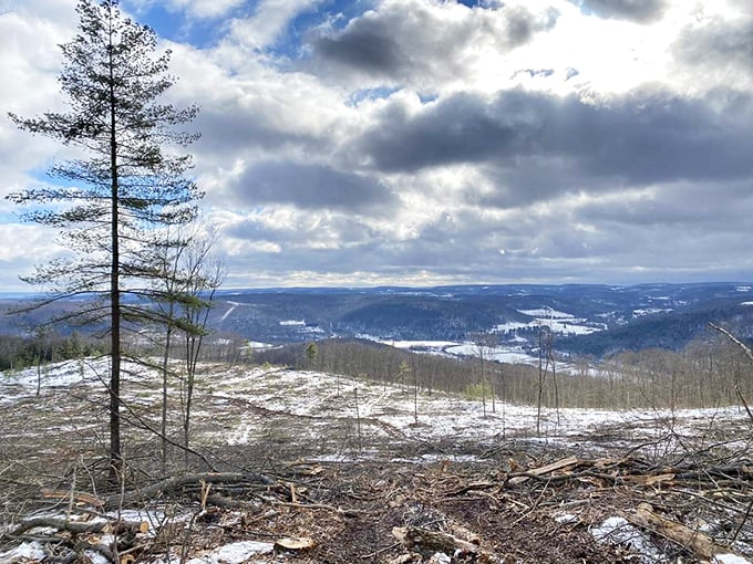 Winter's stark beauty reveals itself in this vista near Wellsboro, where snow-dusted landscapes stretch toward the horizon under dramatic skies.