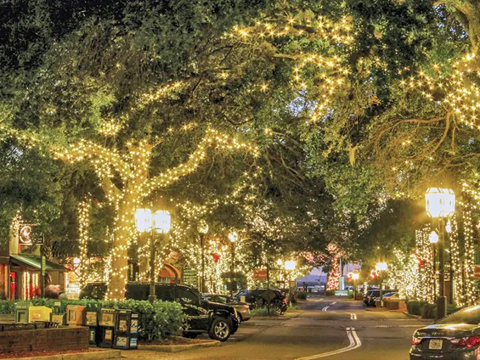 Downtown's holiday lights transform Centre Street into an enchanted forest, where every oak branch becomes a pathway for twinkling magic.