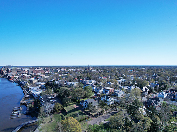 From above, Wilmington reveals its true character: a perfect marriage of waterfront charm and historic neighborhoods nestled among verdant trees.