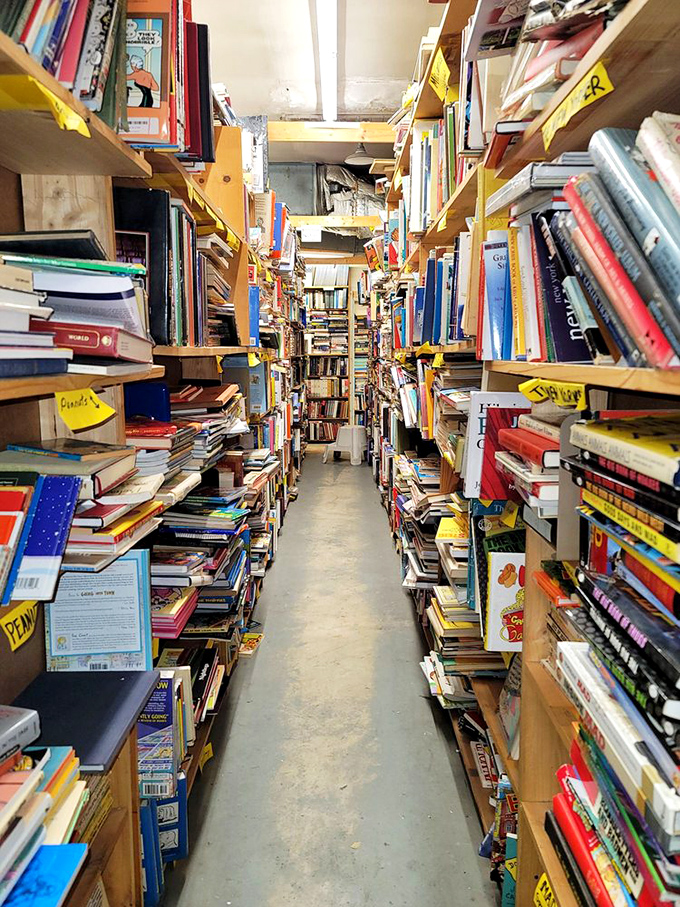 The infinity mirror effect of book-lined corridors. Each turn reveals another hallway of possibilities, another chapter of discovery.