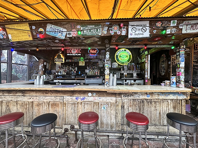 This weathered bar has heard more blues stories than most therapists, its wooden patina earned through decades of elbows, beers, and tall tales.