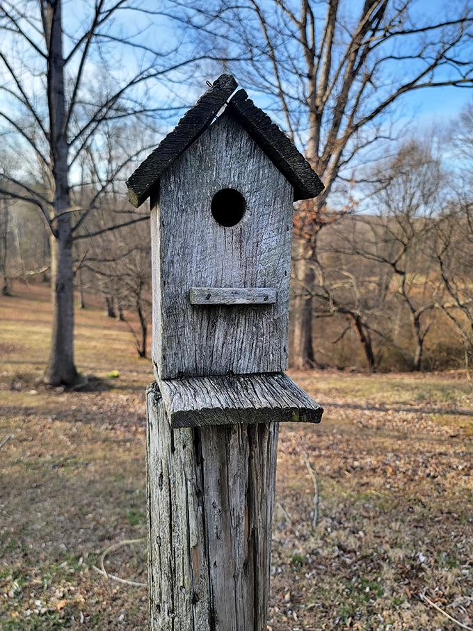 Even the birds around Hilltop get custom accommodations, though they're missing out on what's happening inside those walls.