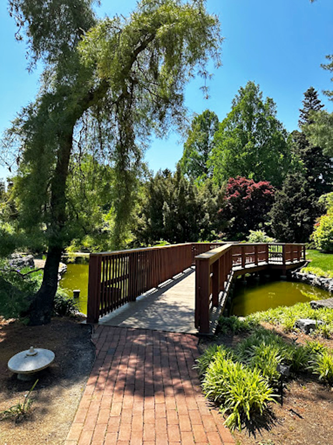 A wooden bridge invites contemplation over still waters. The perfect spot for practicing your "deep in thought" expression for holiday cards.