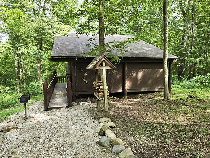 Rustic cabins nestled among trees offer the perfect compromise between roughing it and actual comfort&mdash;wilderness with a roof.