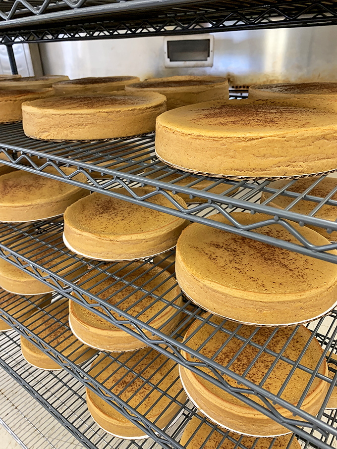 Naked cheesecake bases awaiting their final accessories. Like supermodels before makeup, they're already stunning in their natural state. 