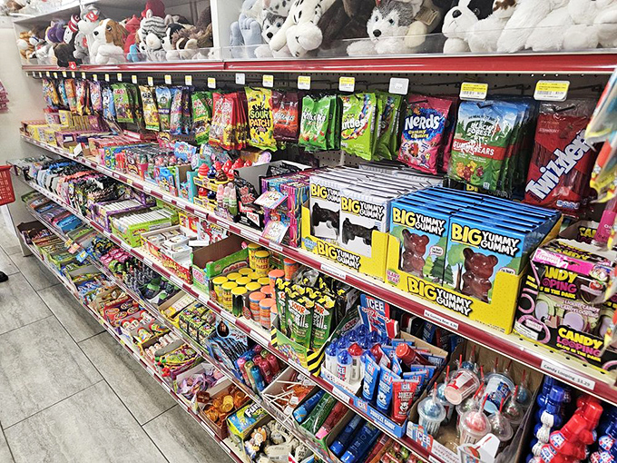 Classic candies proudly displayed alongside plush toys &ndash; because sometimes you need both sugar and something to hug when the sugar crash hits.