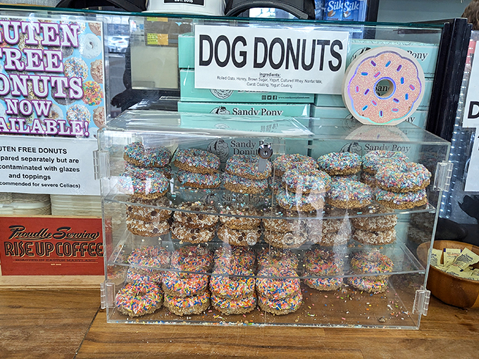 Even four-legged friends get their own donut joy at Sandy Pony. These dog treats prove that humans don't have a monopoly on vacation indulgence.