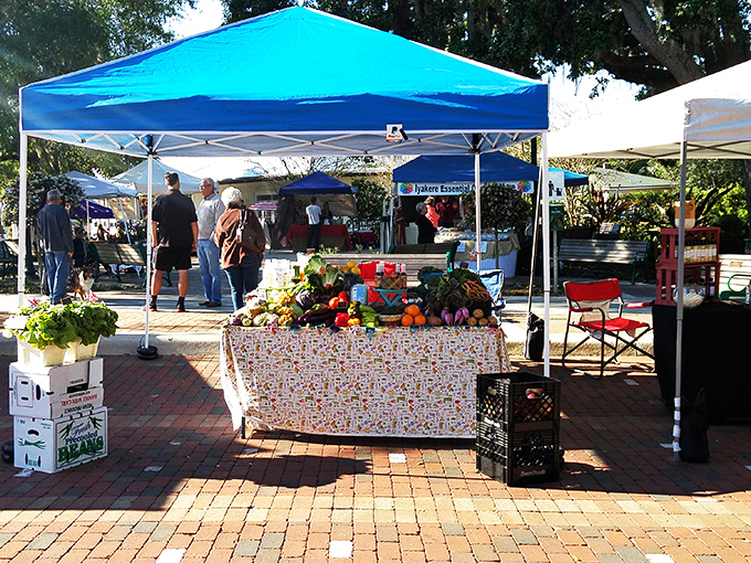 The farmers market doesn't just sell produce&mdash;it offers a masterclass in how food shopping should feel: unhurried, personal, and sun-dappled.