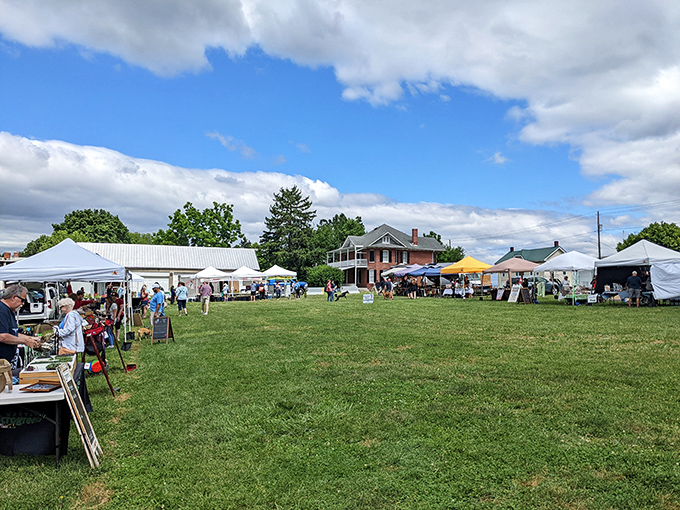 This farmers market isn't just shopping&mdash;it's Saturday morning theater where the produce is fresher than the jokes at a PG-rated comedy club.