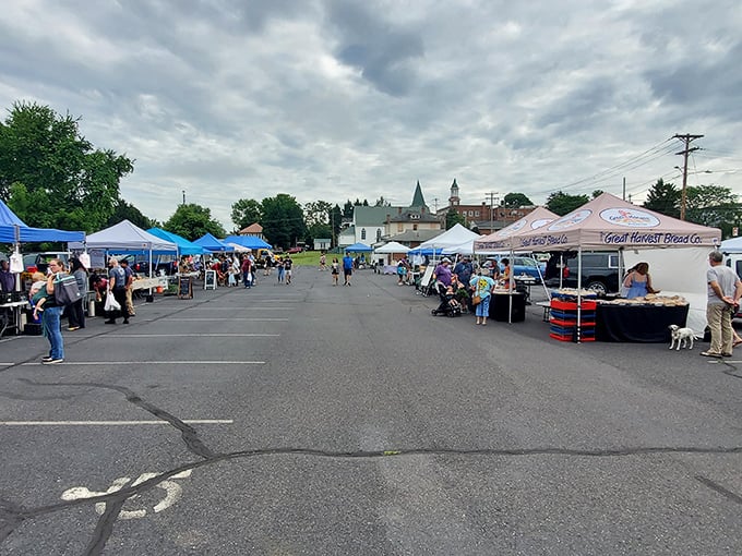 Farmers markets: where shopping feels like a social event rather than a chore. Each tent houses treasures that no supermarket aisle could ever replicate.
