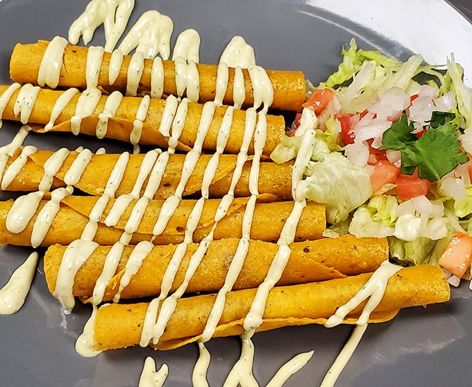 Flautas lined up like delicious soldiers in formation, ready to march straight into your heart. That zigzag of sauce is pure artistic flair.