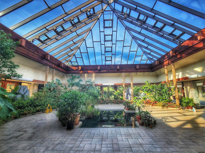 The conservatory's glass ceiling frames clouds like living art, while tropical plants below create Missouri's most convincing Hawaiian vacation.