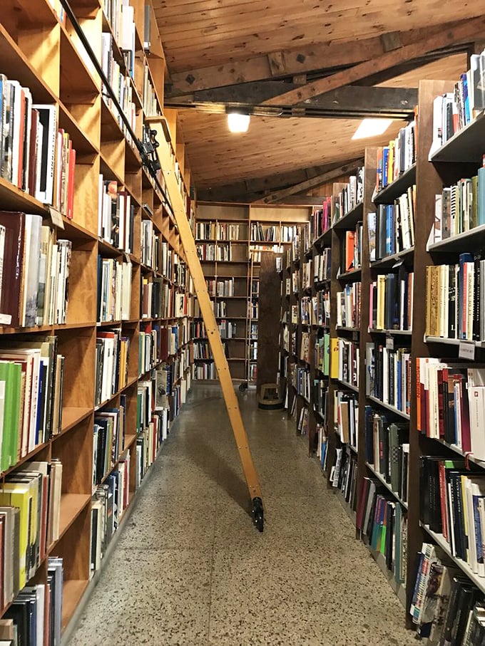 Every great library needs its ladder&mdash;not just for reaching high shelves, but for feeling like you've stepped into a literary fairytale.