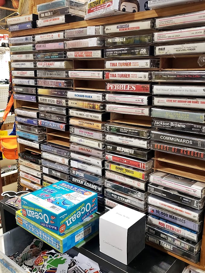 The soundtrack of generations past. These cassette tapes from Van Halen to Tina Turner are analog memories in a digital world.