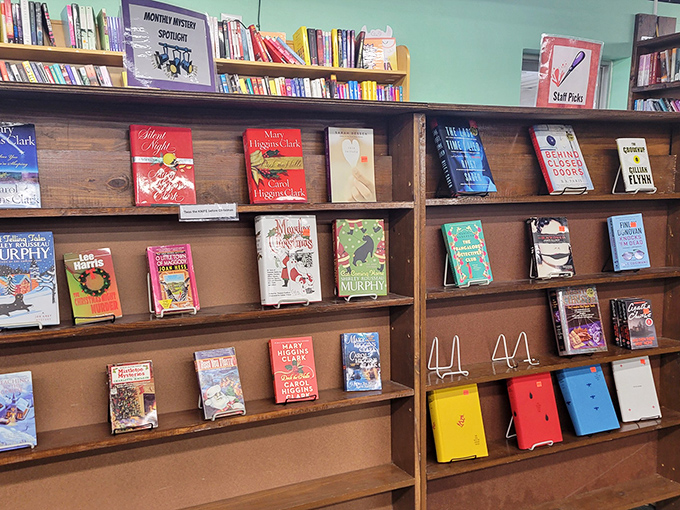 Staff Picks: where booksellers play literary matchmakers, introducing readers to stories they didn't know they needed.