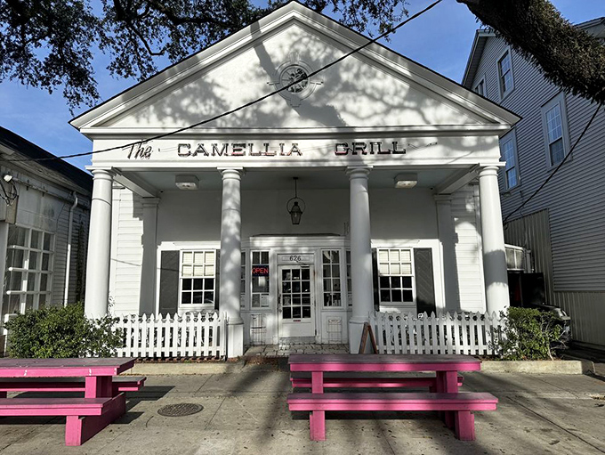 Even the exterior benches invite you to linger, painted pink as if to say, "Why rush? The streetcar will come around again."
