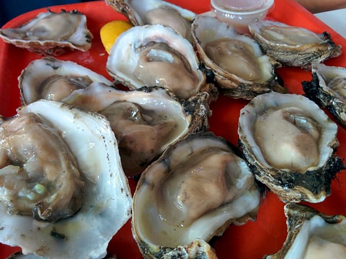 These oysters look like they were plucked from the Gulf moments ago&mdash;glistening, plump, and practically still tasting of the tide.