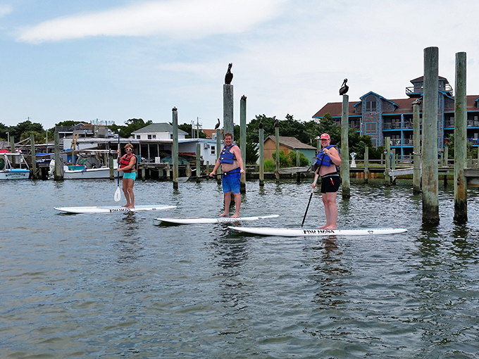 Paddleboarding through Ocracoke's harbor &ndash; where pelicans are the critics and the gentle current is your only deadline.