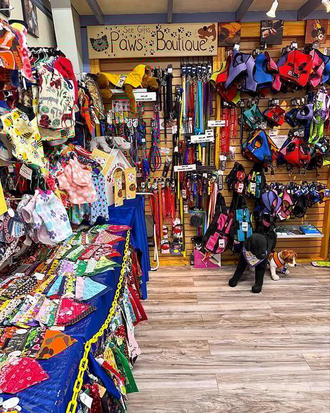 The Paws Boutique is pet paradise, where your four-legged friend can be better dressed than most humans.