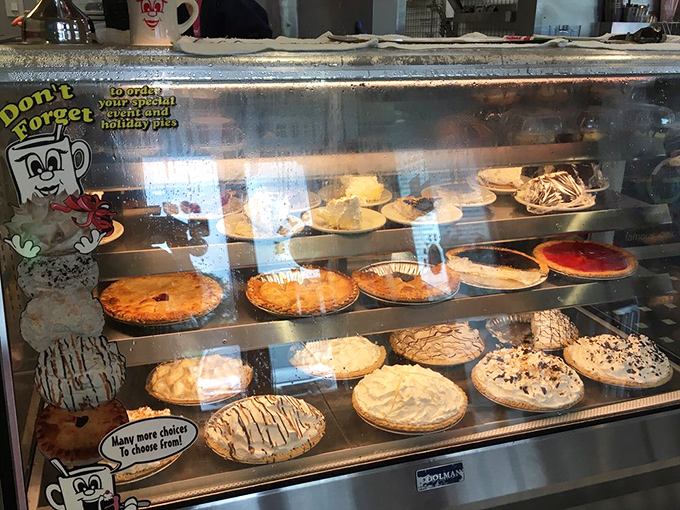 The pie case: where willpower goes to die a delicious death. Each shelf offers a different path to dessert nirvana.