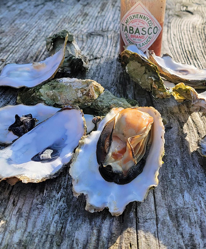 A splash of Tabasco on these freshly shucked beauties is like adding a perfect soundtrack to an already magnificent movie.