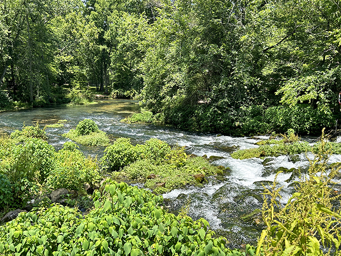 Rapids create nature's white noise machine, drowning out life's notifications with the timeless soundtrack of water meeting stone.